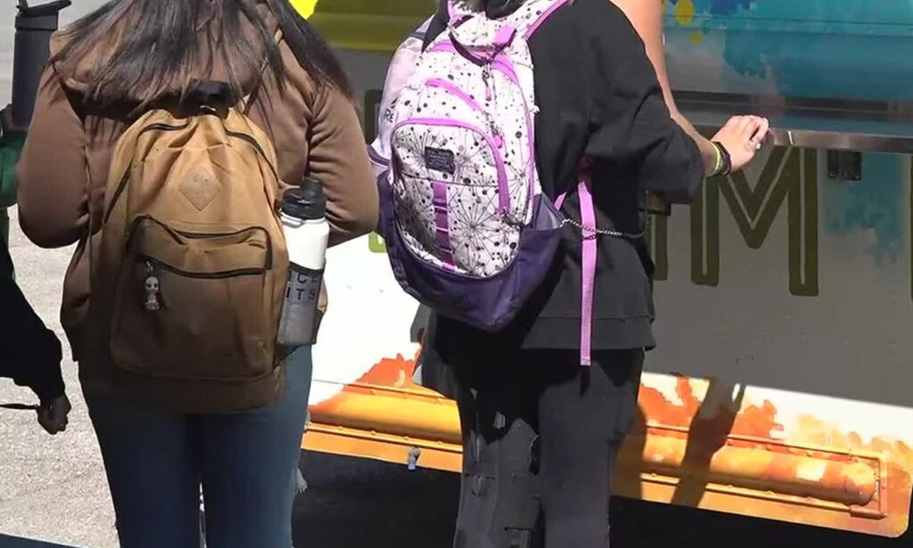 Suspended Teacher Who Refused Preferred Pronouns Wins Major Award ...