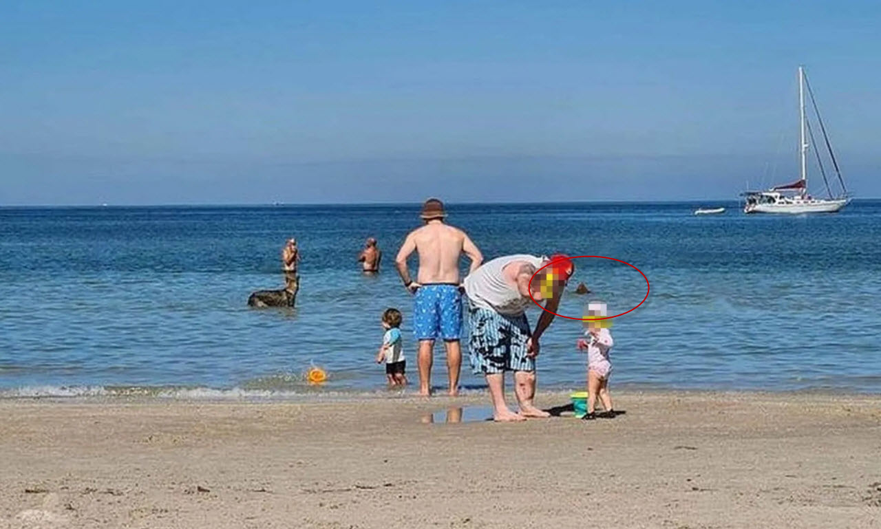 Photo From Beach Day Sparks Creepy Debate Online – funsidecomic.com